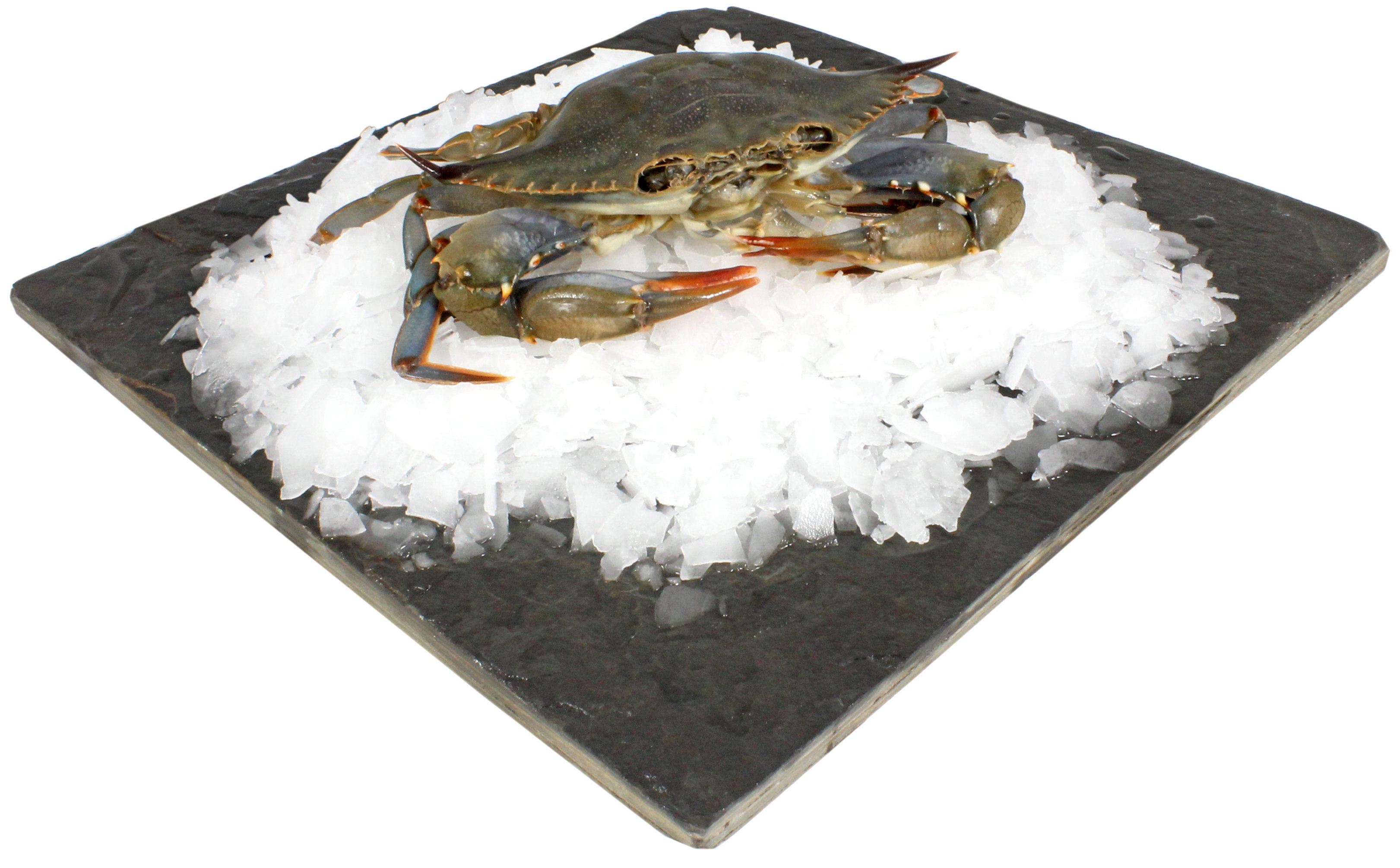 Fresh Soft Shell Crabs, ea | Central Market - Really Into Food