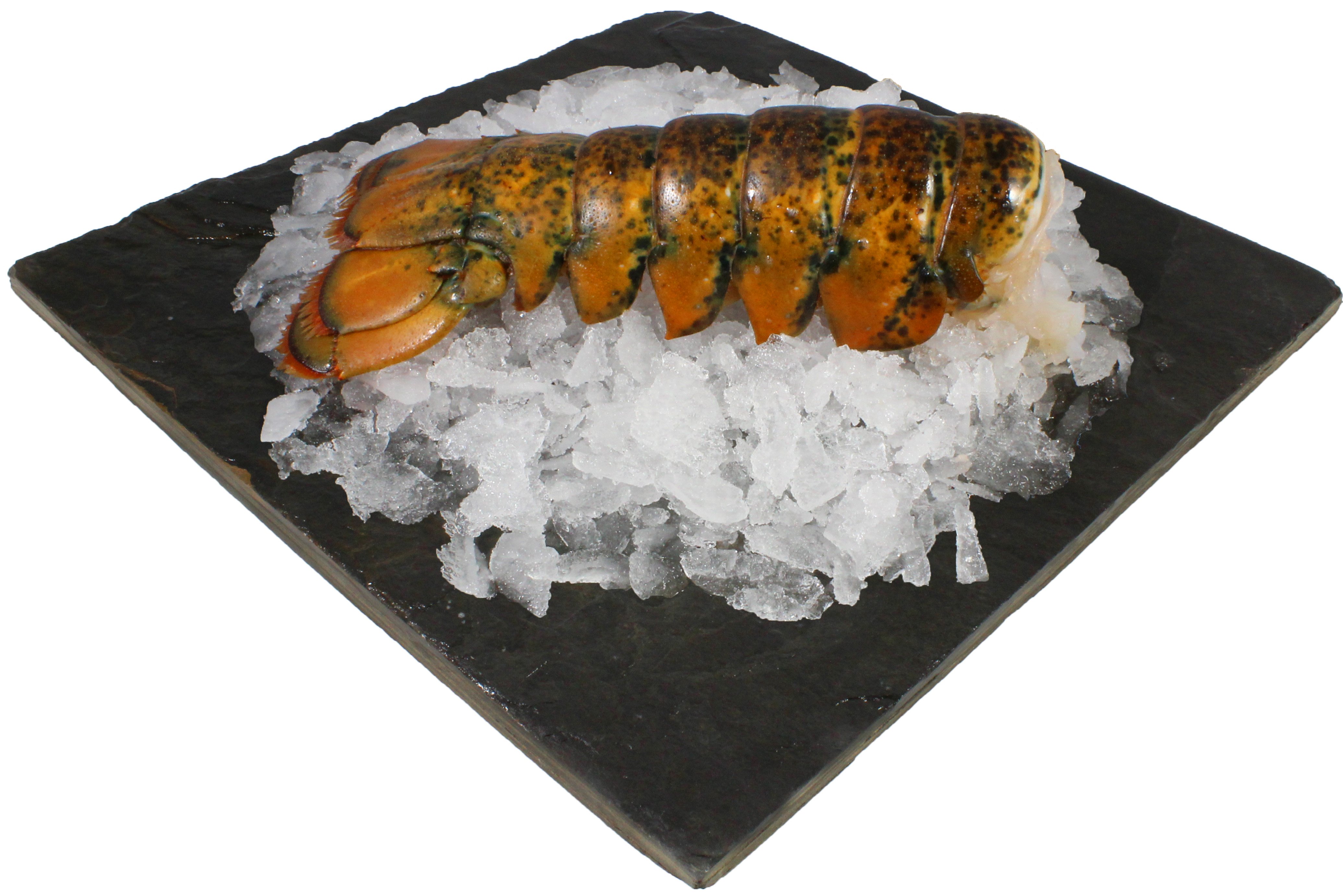 Previously Frozen Cold Water Canadian Lobster Tail - Shop Shrimp ...