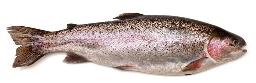 Whole Rainbow Trout - Shop Fish at H-E-B