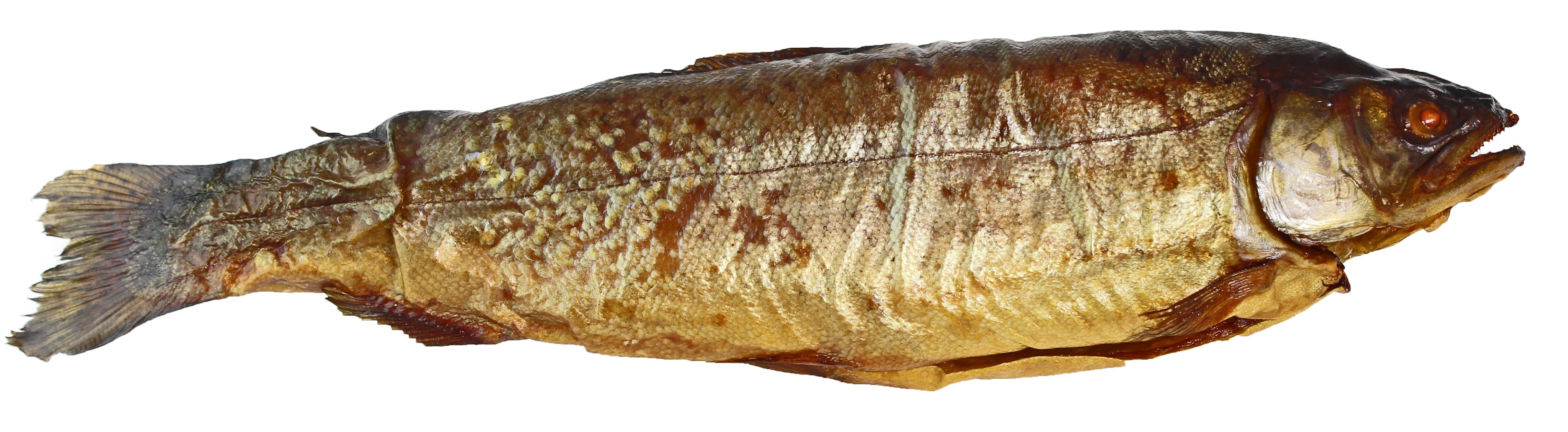 Acme Smoked Fish Smoked Rainbow Trout | Central Market - Really Into Food