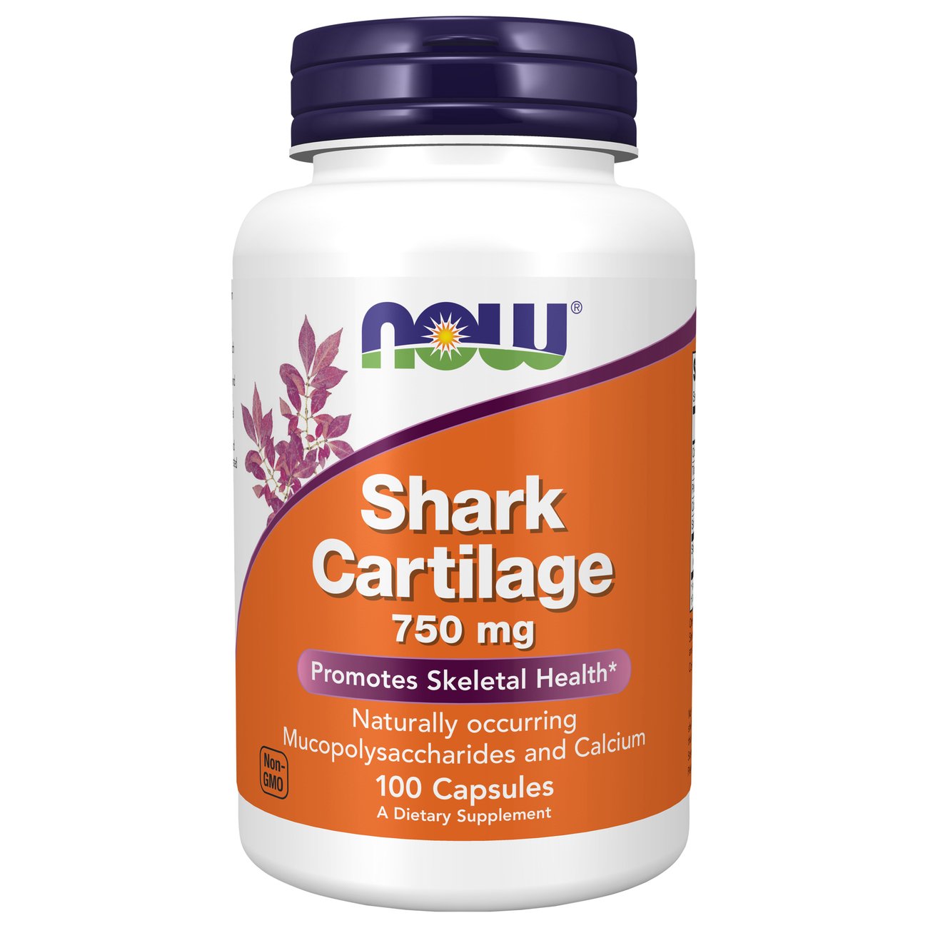 NOW Shark Cartilage 750 mg Capsules - Shop Diet & fitness at H-E-B