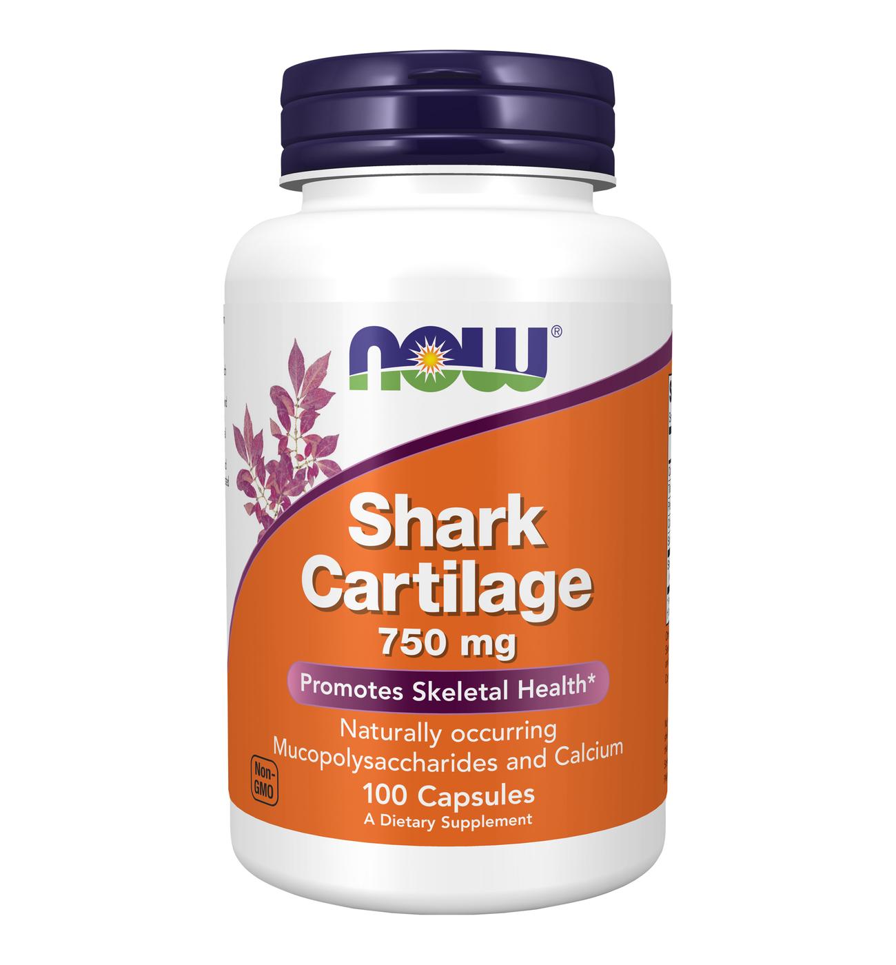 NOW Shark Cartilage 750 mg Capsules - Shop Diet & Fitness at H-E-B