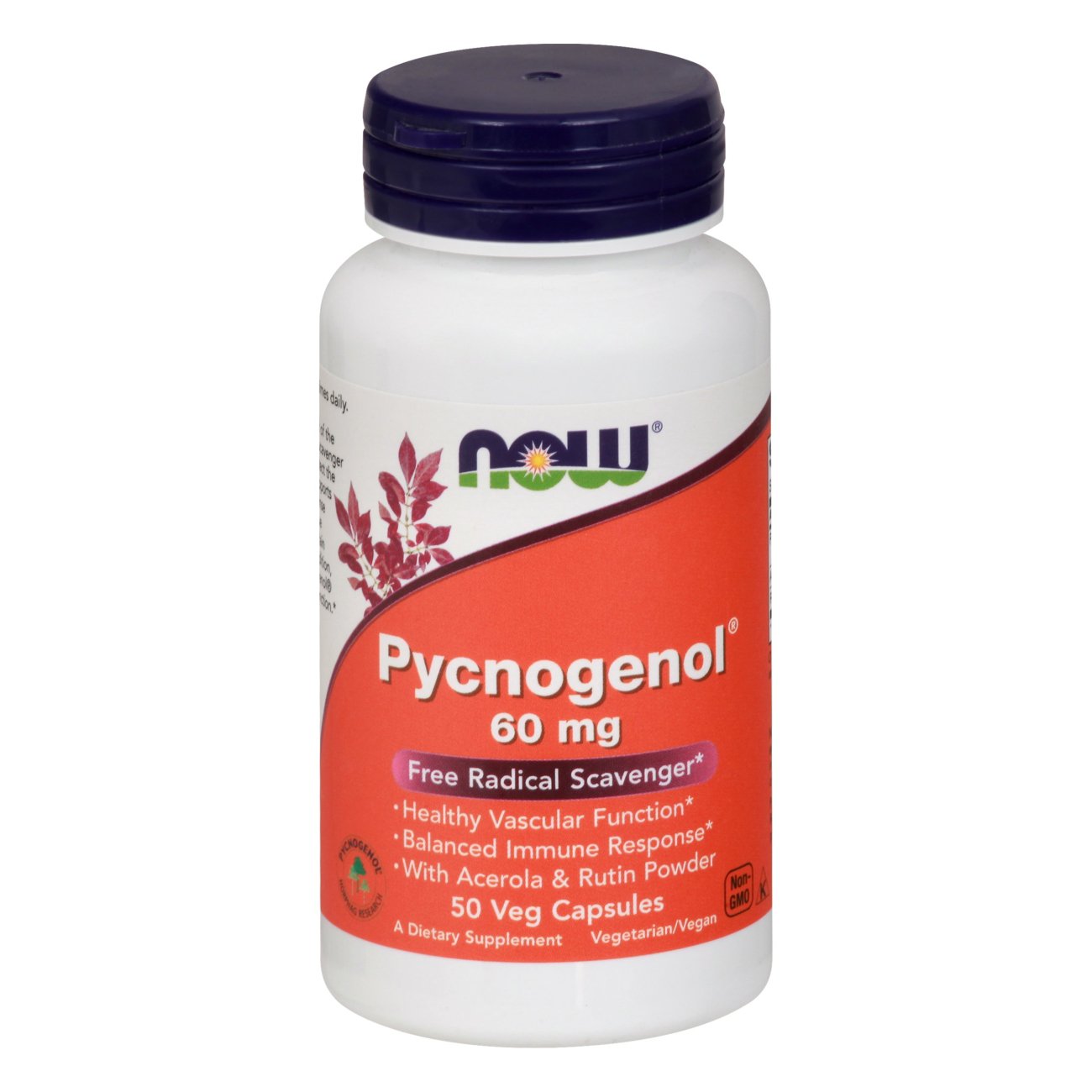 NOW Pycnogenol 60 mg Vcaps - Shop Antioxidants at H-E-B