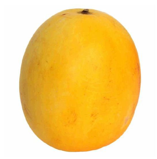 Fresh Sprite Melon, ea | Central Market - Really Into Food