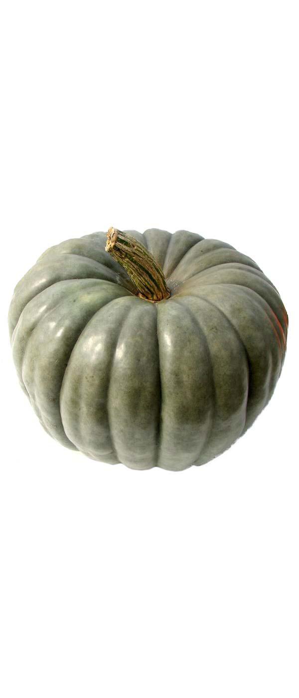 H-E-B Texas Roots Blue Delight Pumpkin - Shop Squash & pumpkins at H-E-B