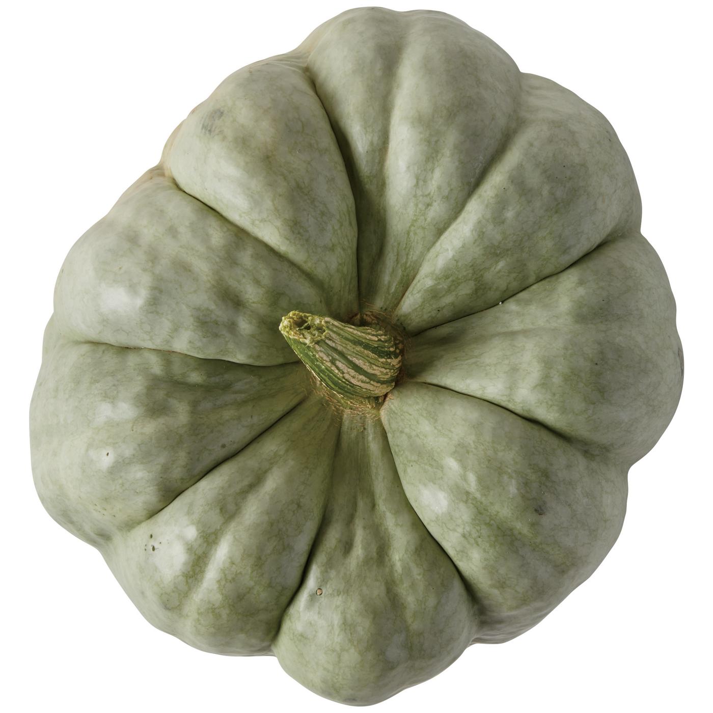 H-E-B Texas Roots Blue Delight Pumpkin - Shop Squash & pumpkins at H-E-B