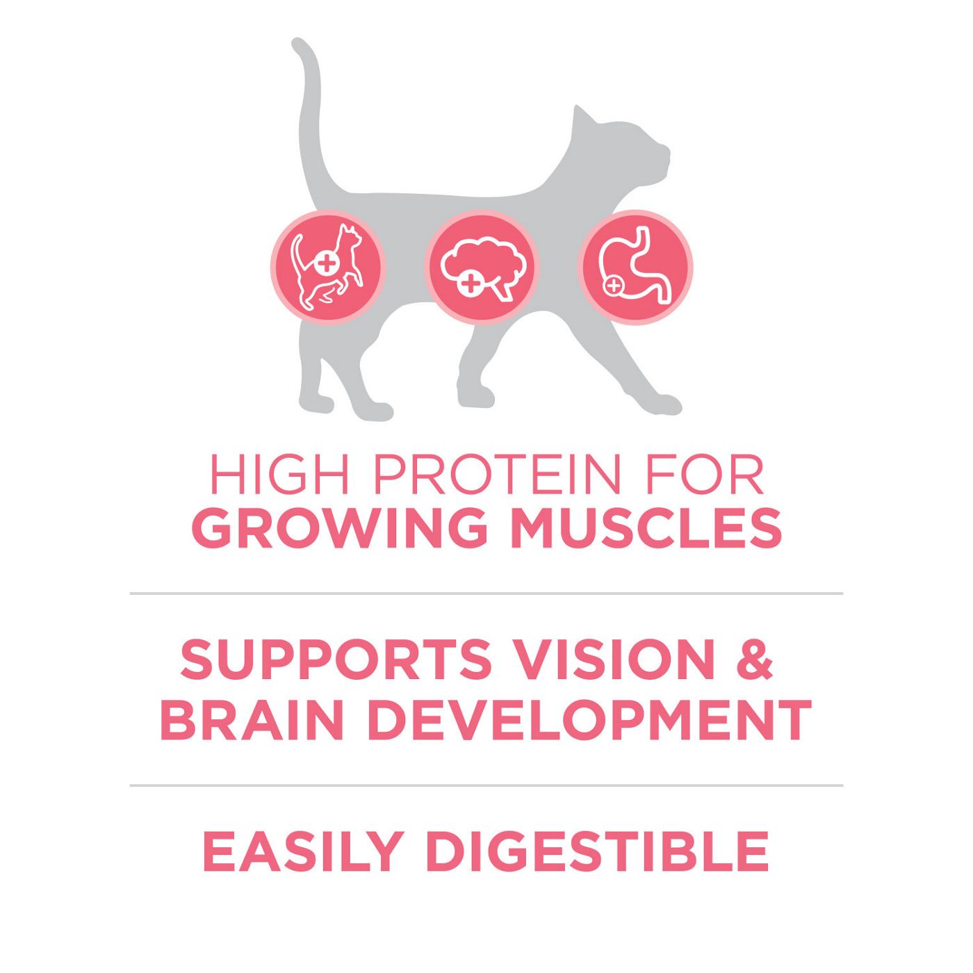 Purina ONE High Protein, Natural Dry Kitten Food, +Plus Healthy Kitten ...