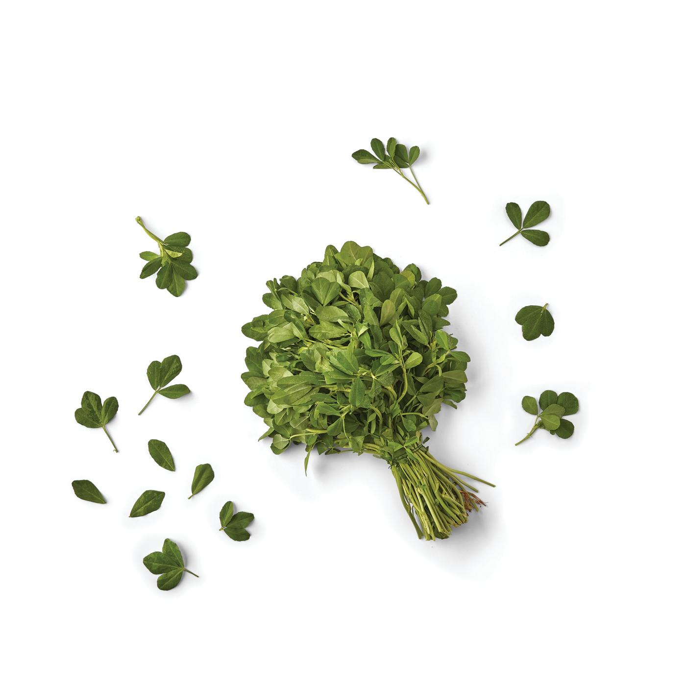 Fresh Fenugreek (Methi) Leaf - Shop Herbs at H-E-B