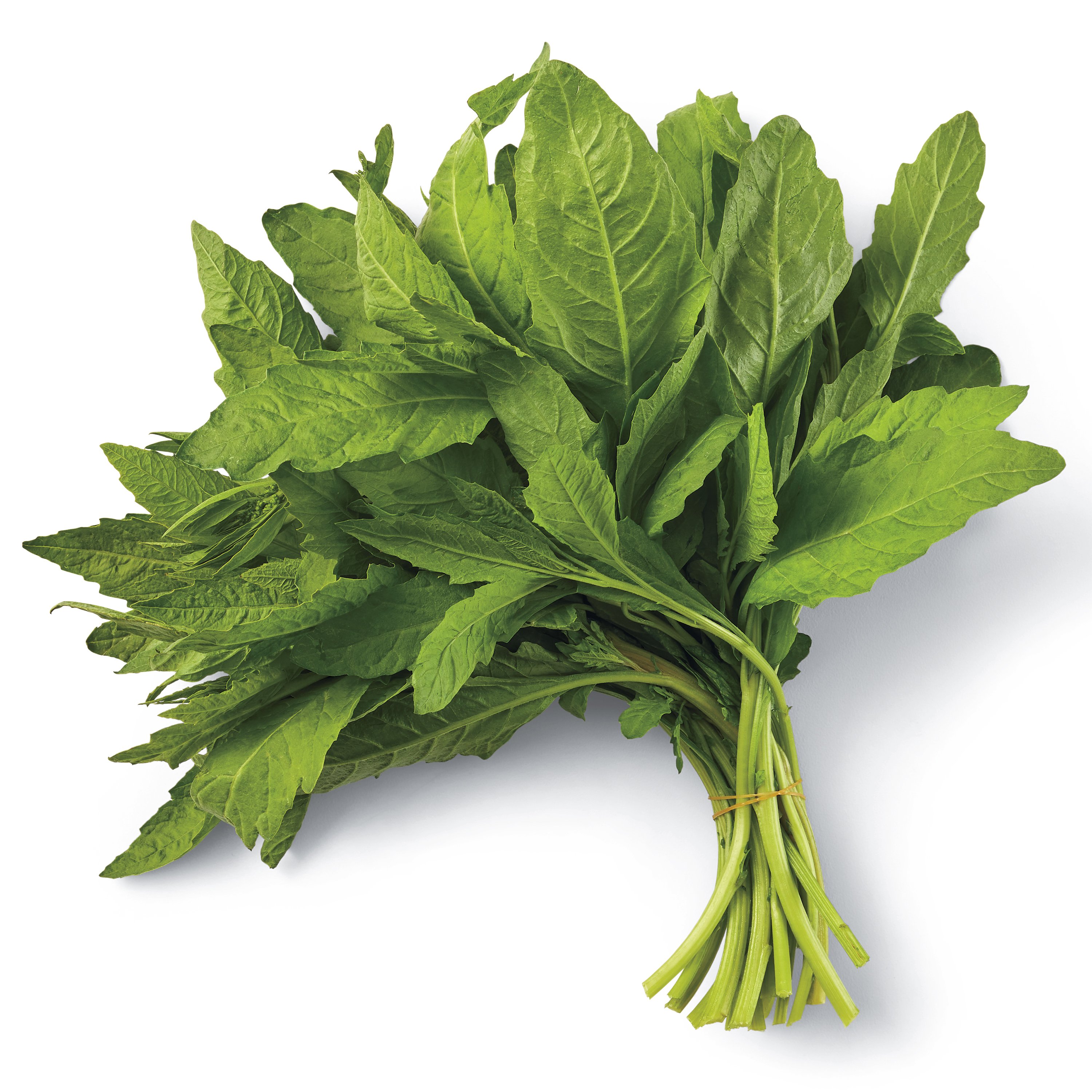 Fresh Epazote - Shop Herbs at H-E-B