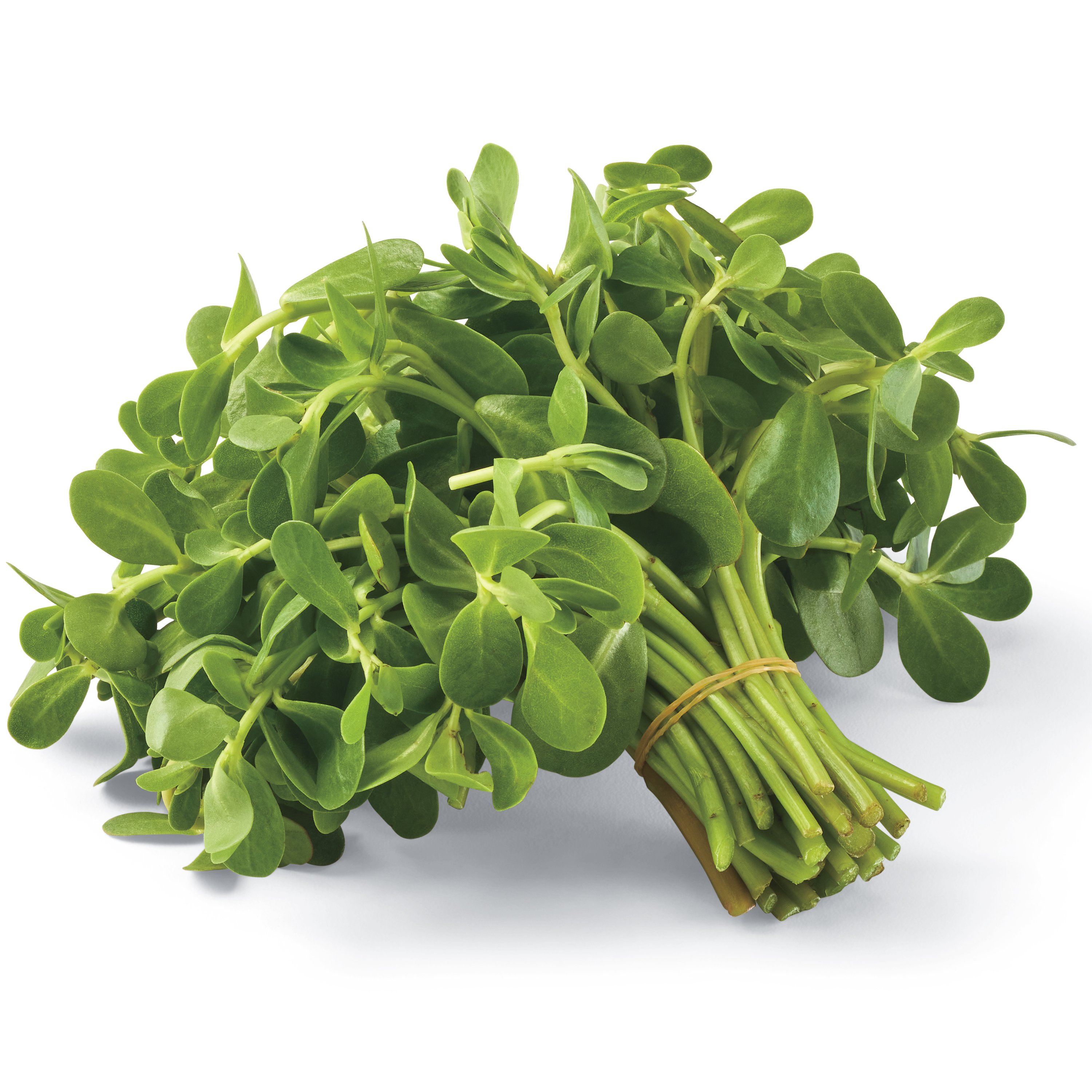 Fresh Verdolaga - Shop Herbs at H-E-B