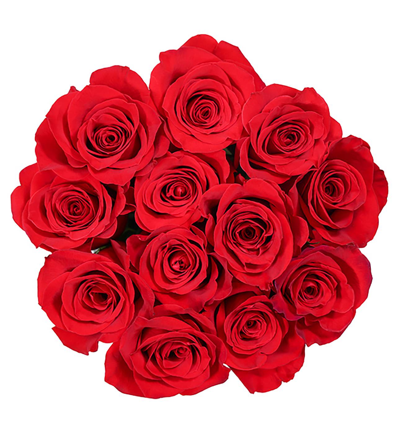 BLOOMS by H-E-B Dozen Red Roses - Shop Flowers & arrangements at H-E-B