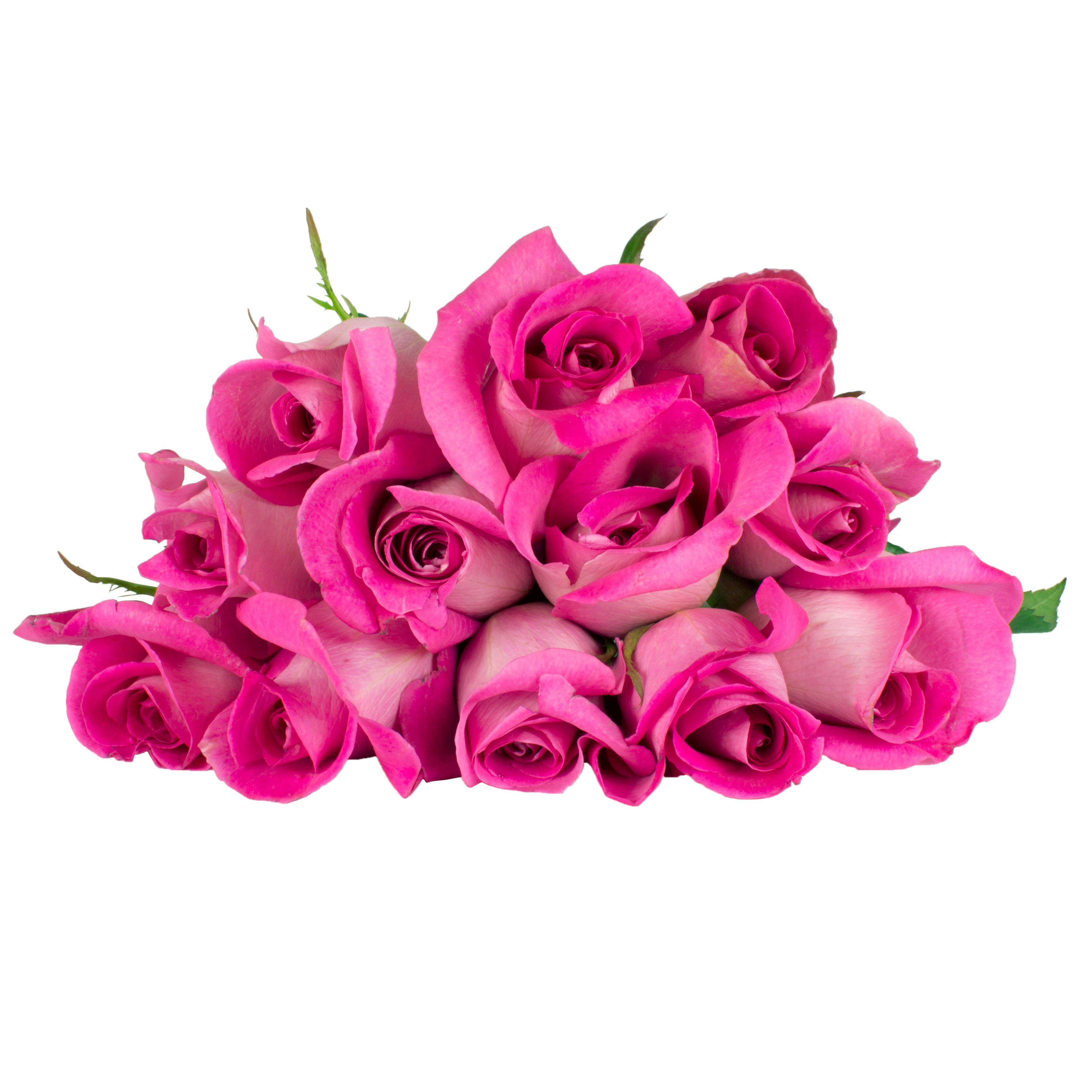 H-E-B Blooms Dozen Pink Roses - Shop Flowers & arrangements at H-E-B