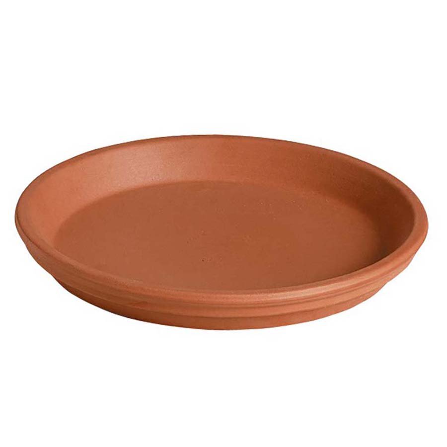 Deroma Terracotta Plant Saucer - Shop Patio & Outdoor at H-E-B