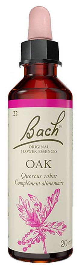 Bach Oak Flower Essence - Shop Herbs & homeopathy at H-E-B