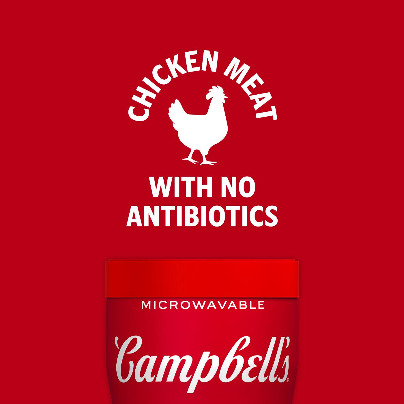 Campbell's Sipping Soup, Chicken & Mini Round Noodle Soup - Shop Soups ...