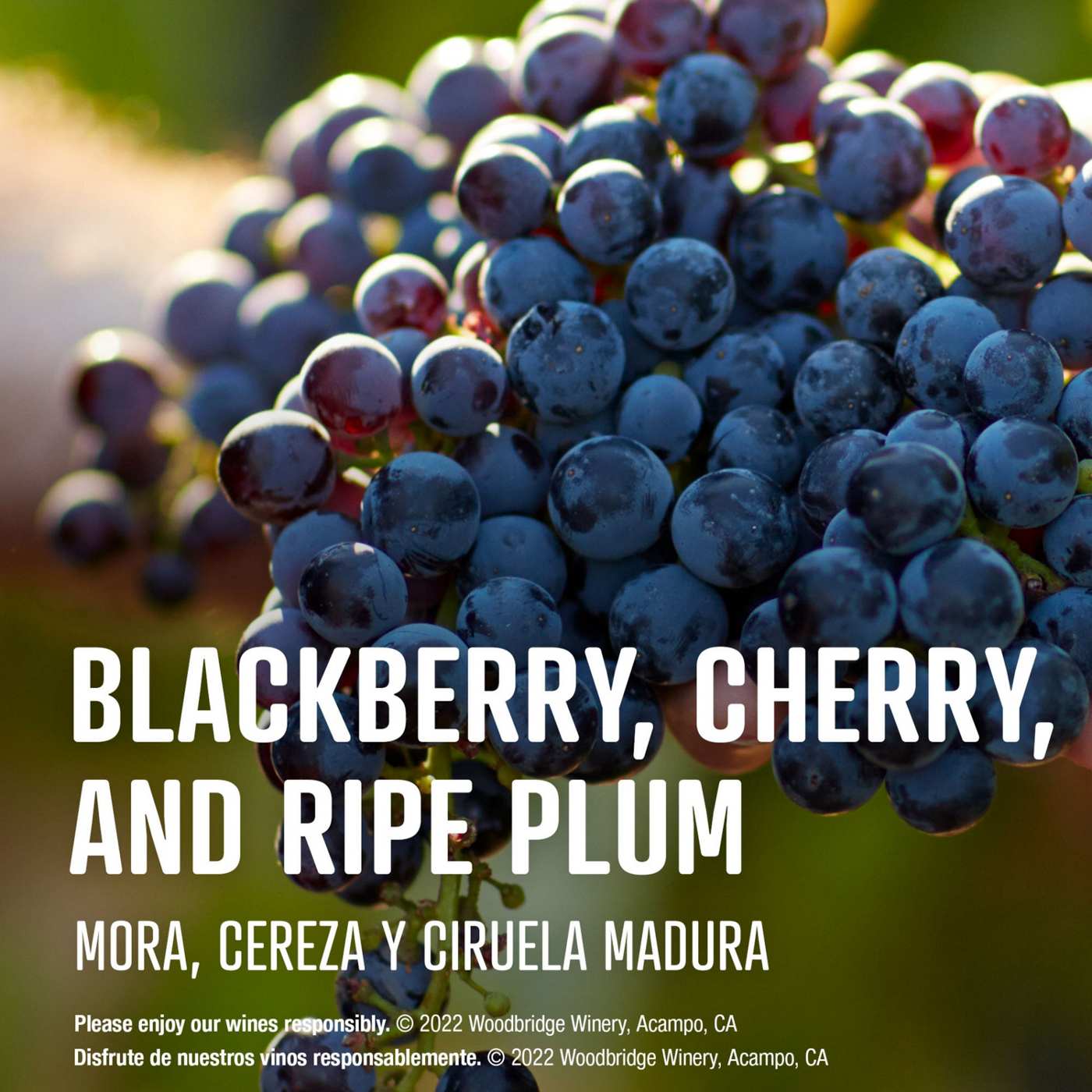 Woodbridge Merlot Red Wine 187 mL Cans, 4 pk - Shop Wine at H-E-B