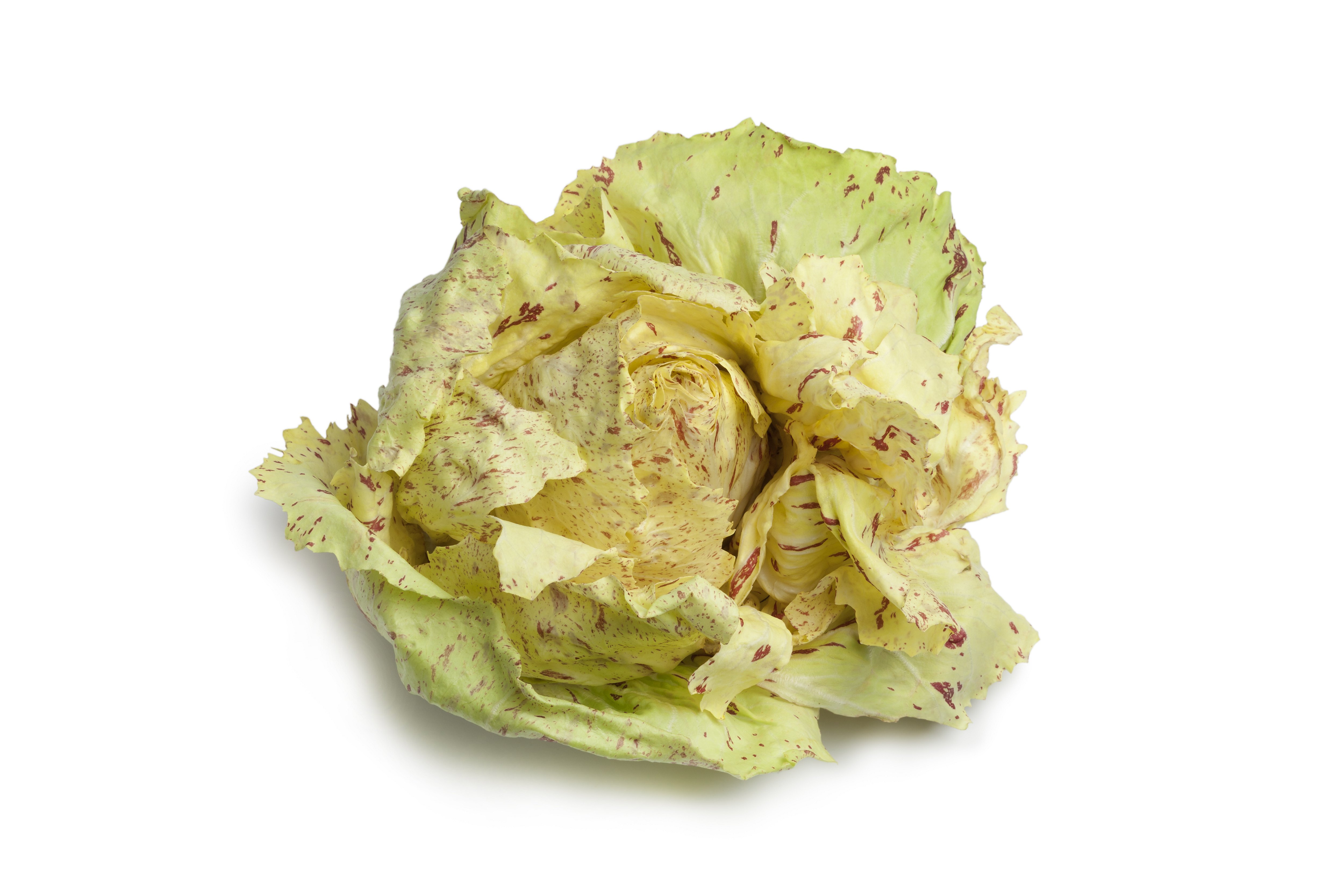 Castelfranco Lettuce - Shop Vegetables at H-E-B