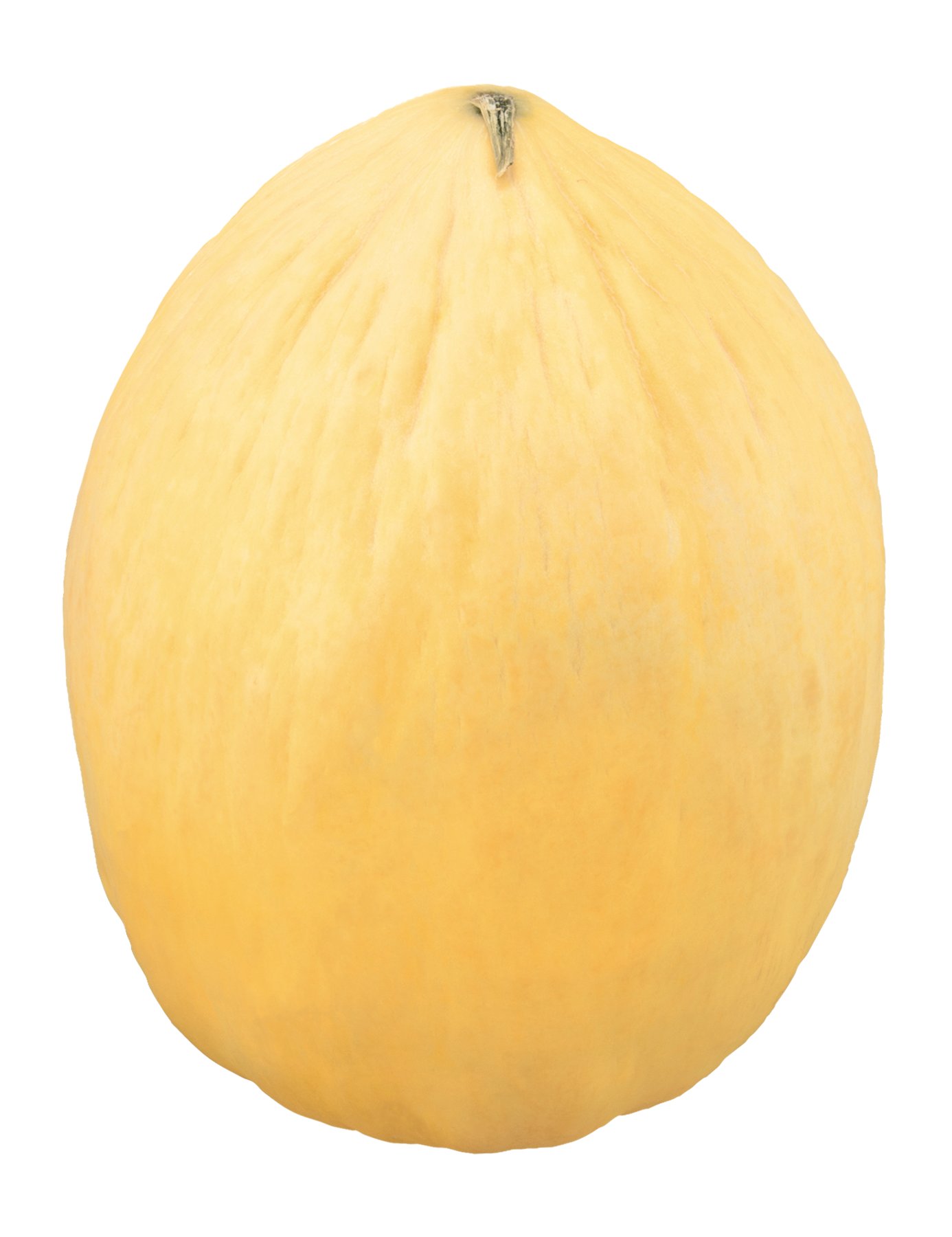 Fresh Crenshaw Melon - Shop Melons at H-E-B