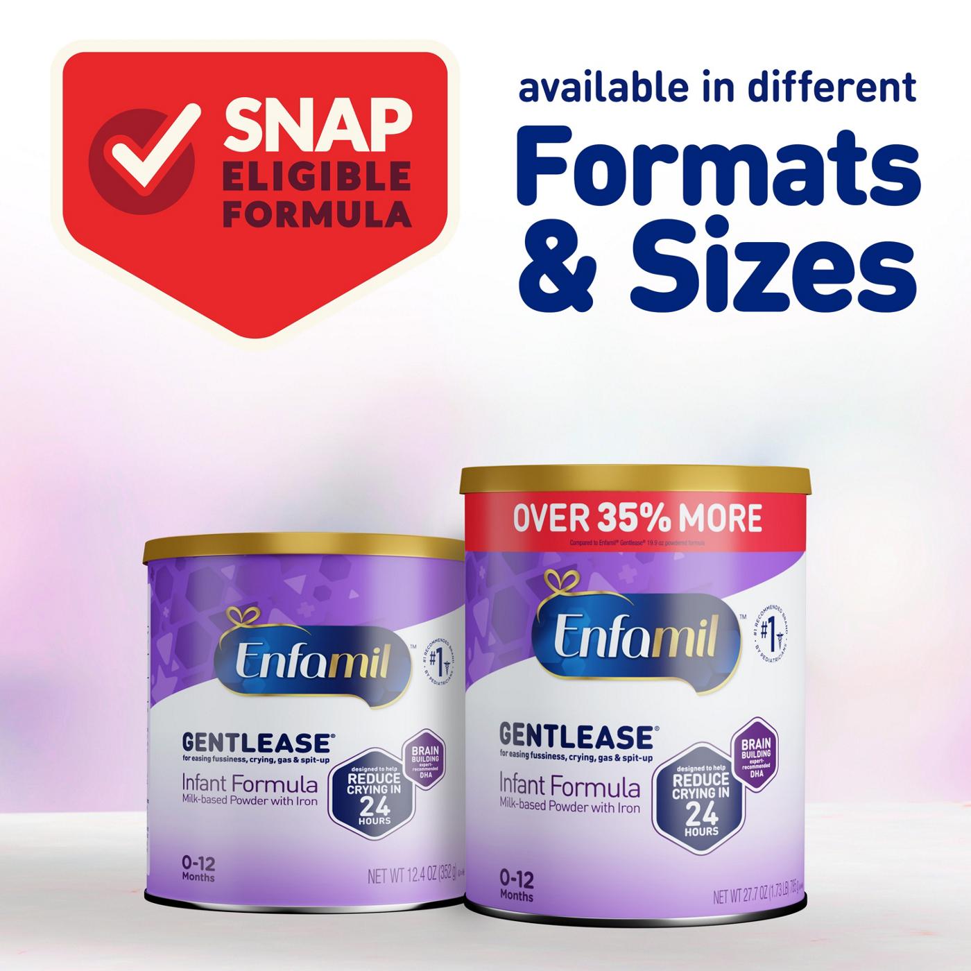 Enfamil Gentlease Milk-Based Powder Infant Formula with Iron - Shop ...