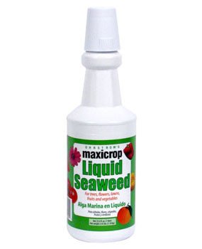 Maxicrop Liquid Seaweed - Shop Fertilizer at H-E-B