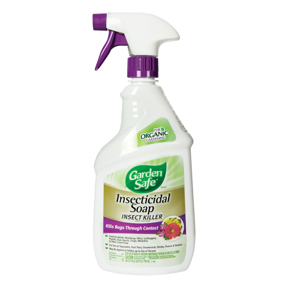 Garden Safe Brand Insecticidal Soap Insect Killer Ready-To-Use Spray ...
