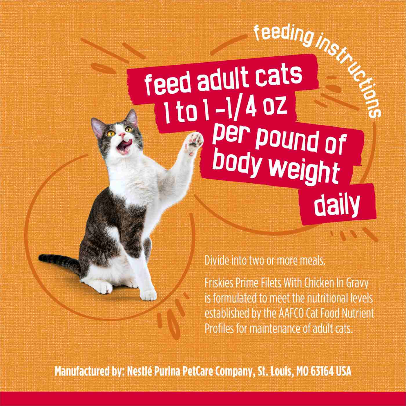 Purina Friskies Gravy Wet Cat Food, Prime Filets With Chicken - Shop ...