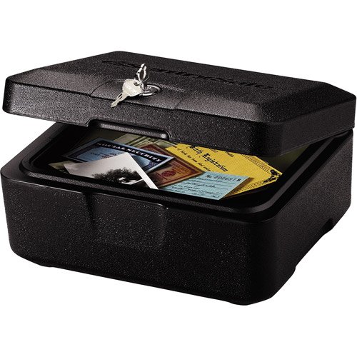 Sentry 0500 Fire Safe Extra Small Privacy Lock Chest - Shop Desktop ...