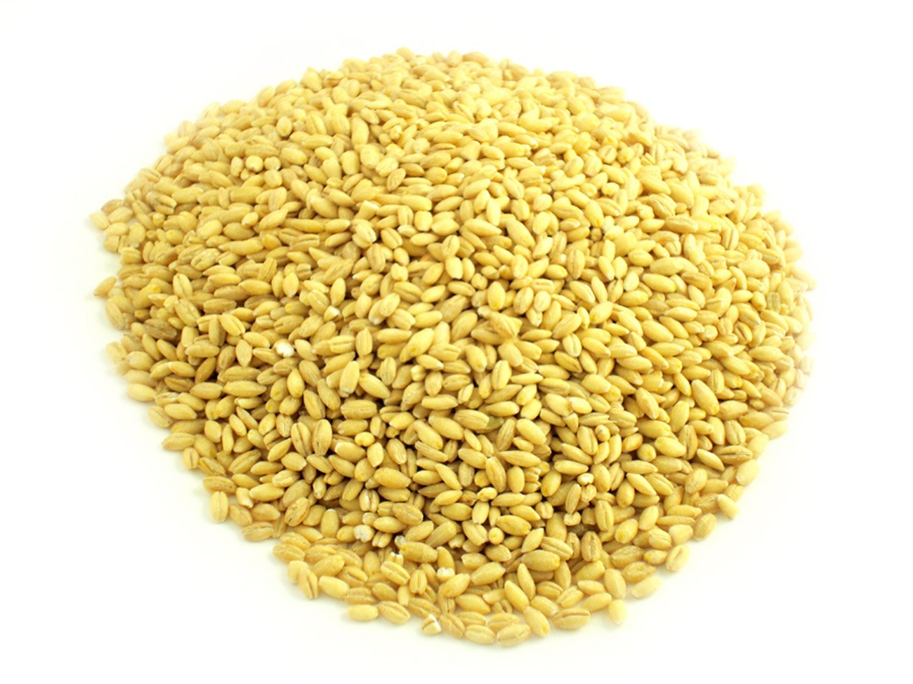 Falcon Trading Pearled Barley - Shop Rice & grains at H-E-B