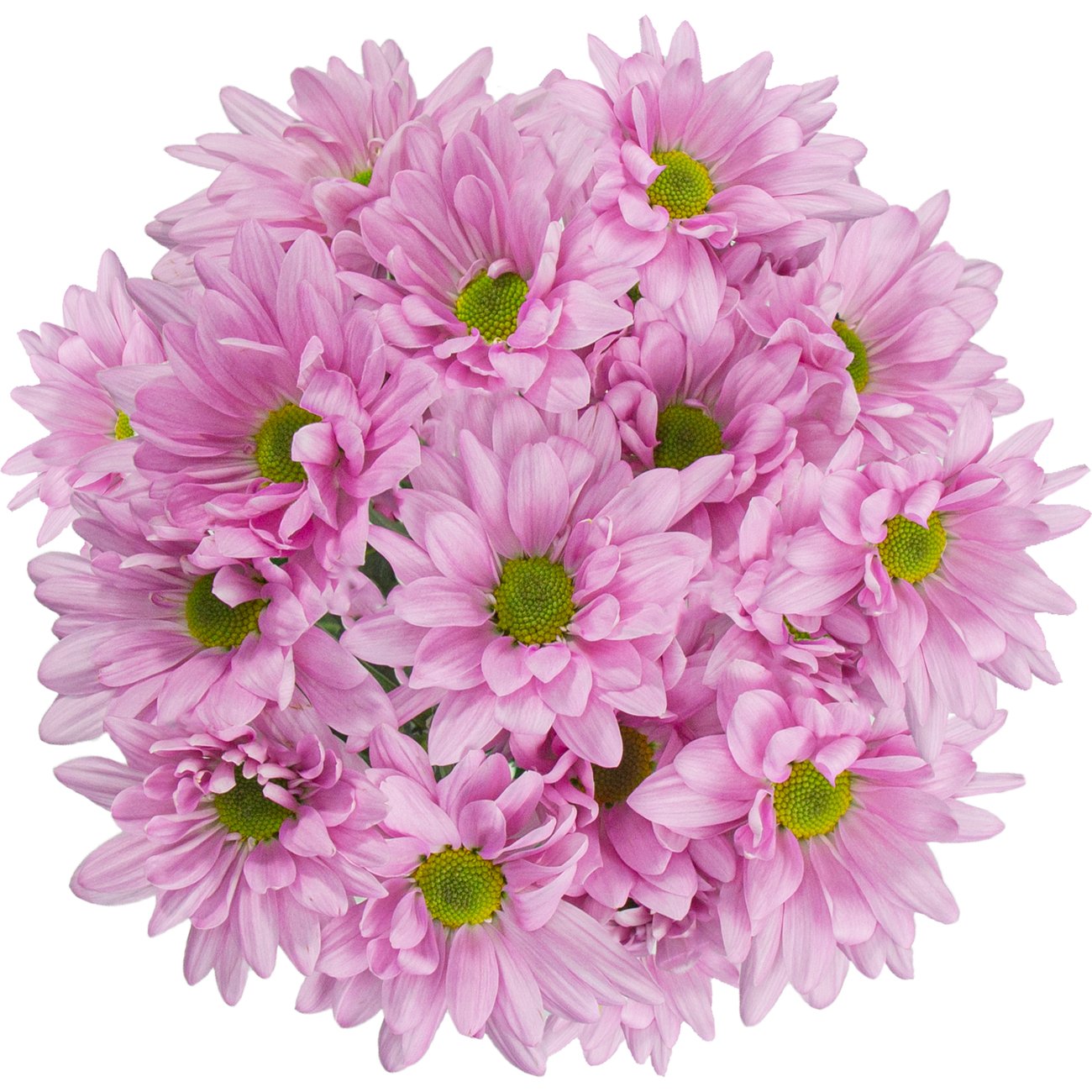 BLOOMS by H-E-B 4 Stem Assorted Poms - Shop Flowers & arrangements at H-E-B