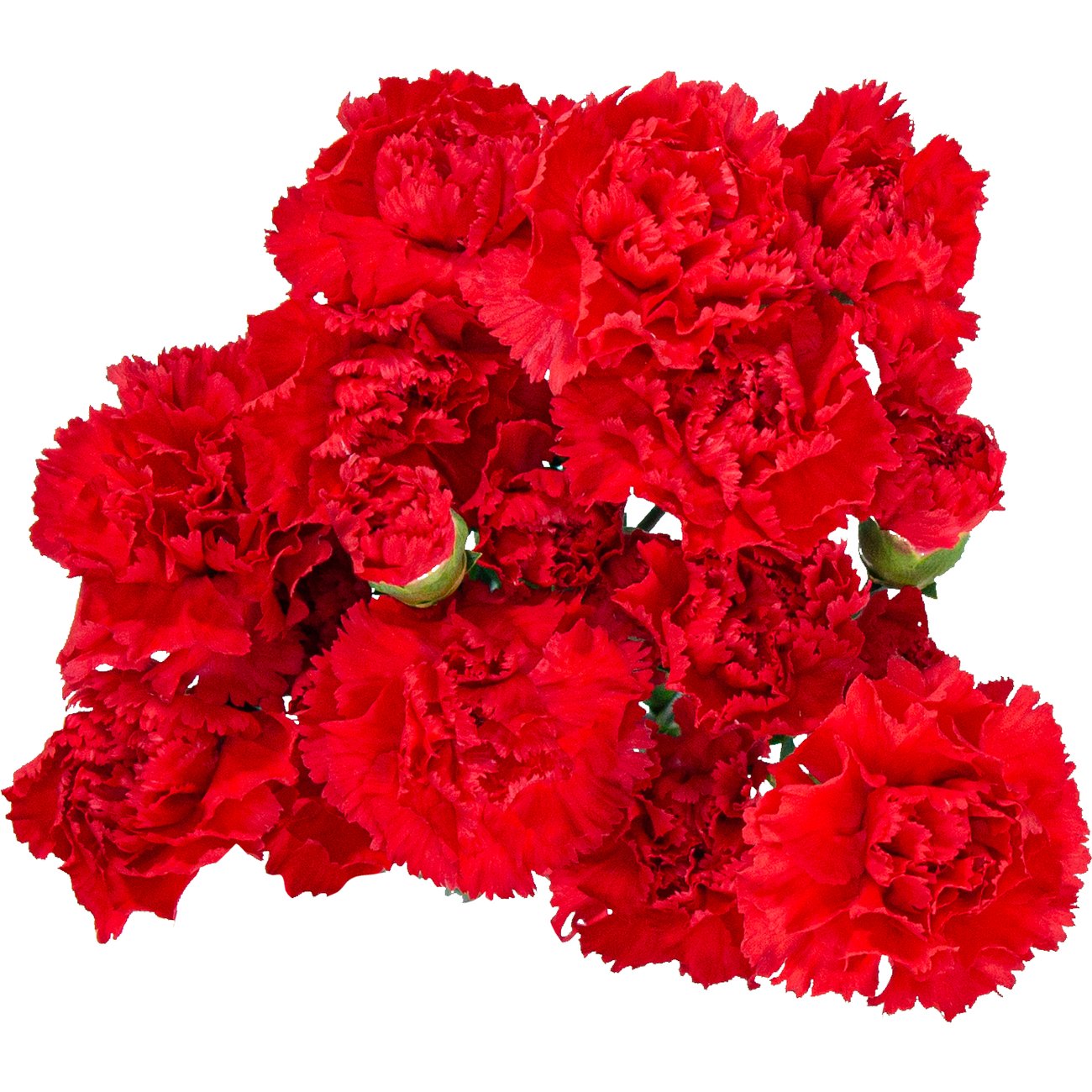 BLOOMS by H-E-B Assorted 6-Stem Mini Carnations - Shop Flowers ...