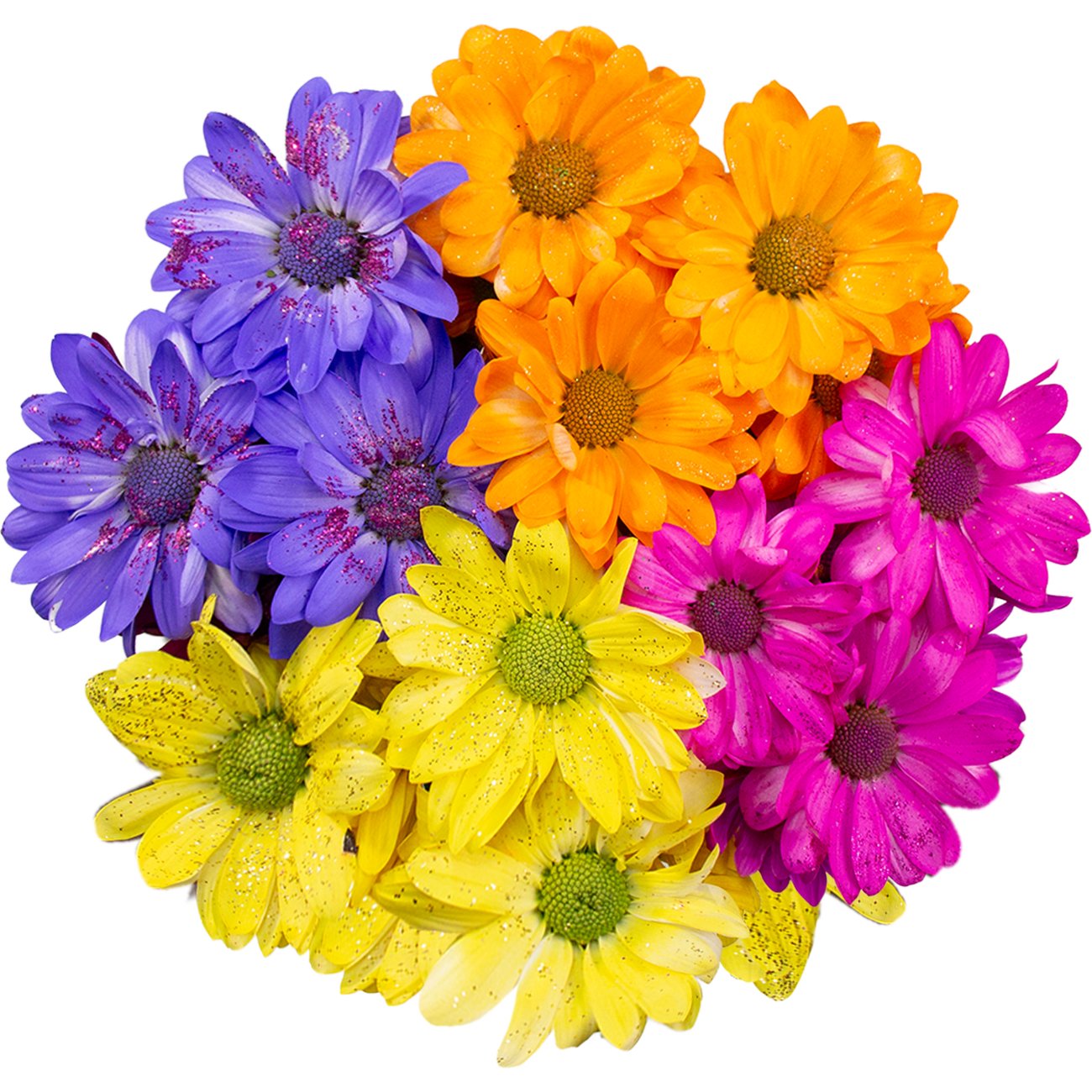 BLOOMS by H-E-B 4 Stem Painted Poms - Shop Flowers & arrangements at H-E-B