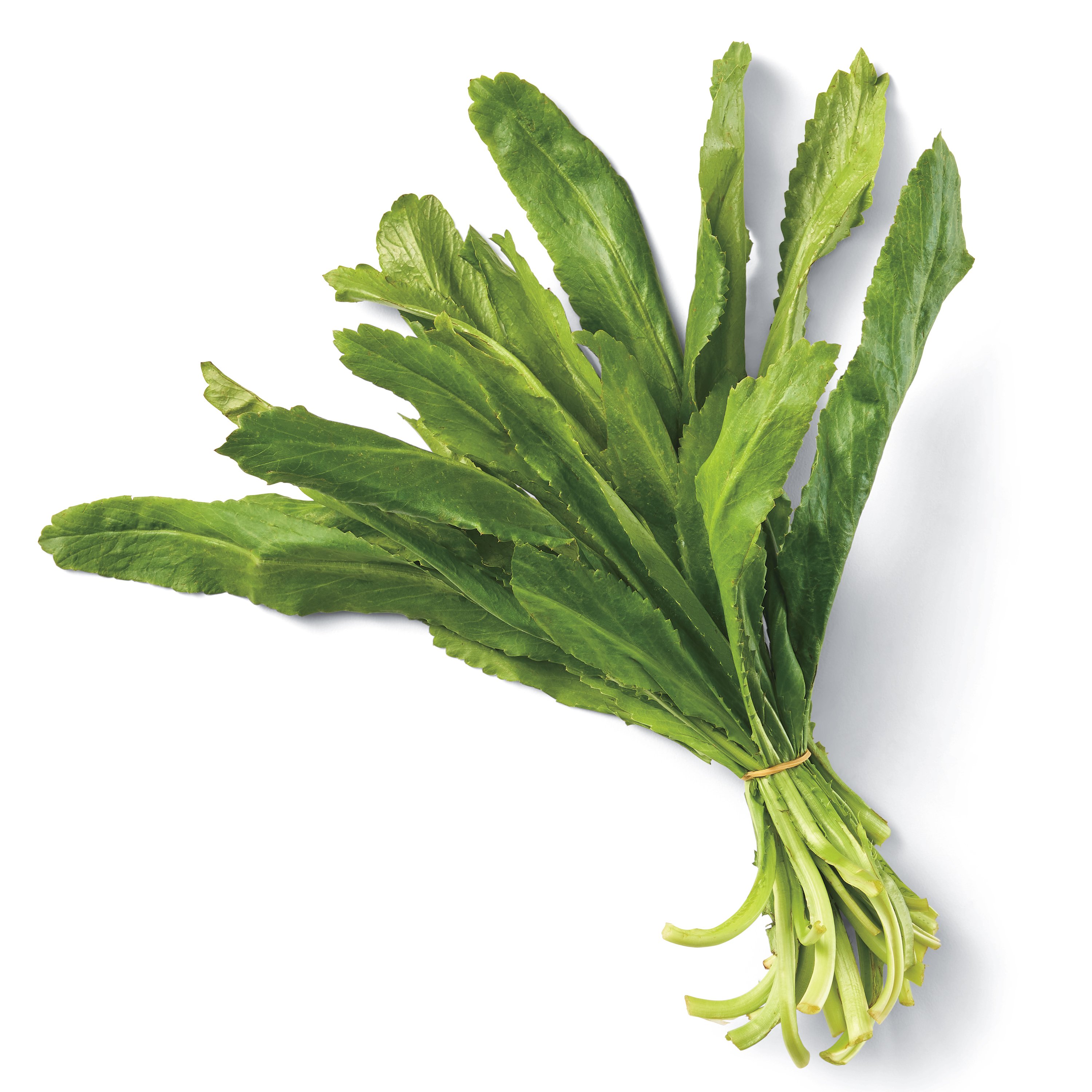 Fresh Culantro - Shop Herbs at H-E-B