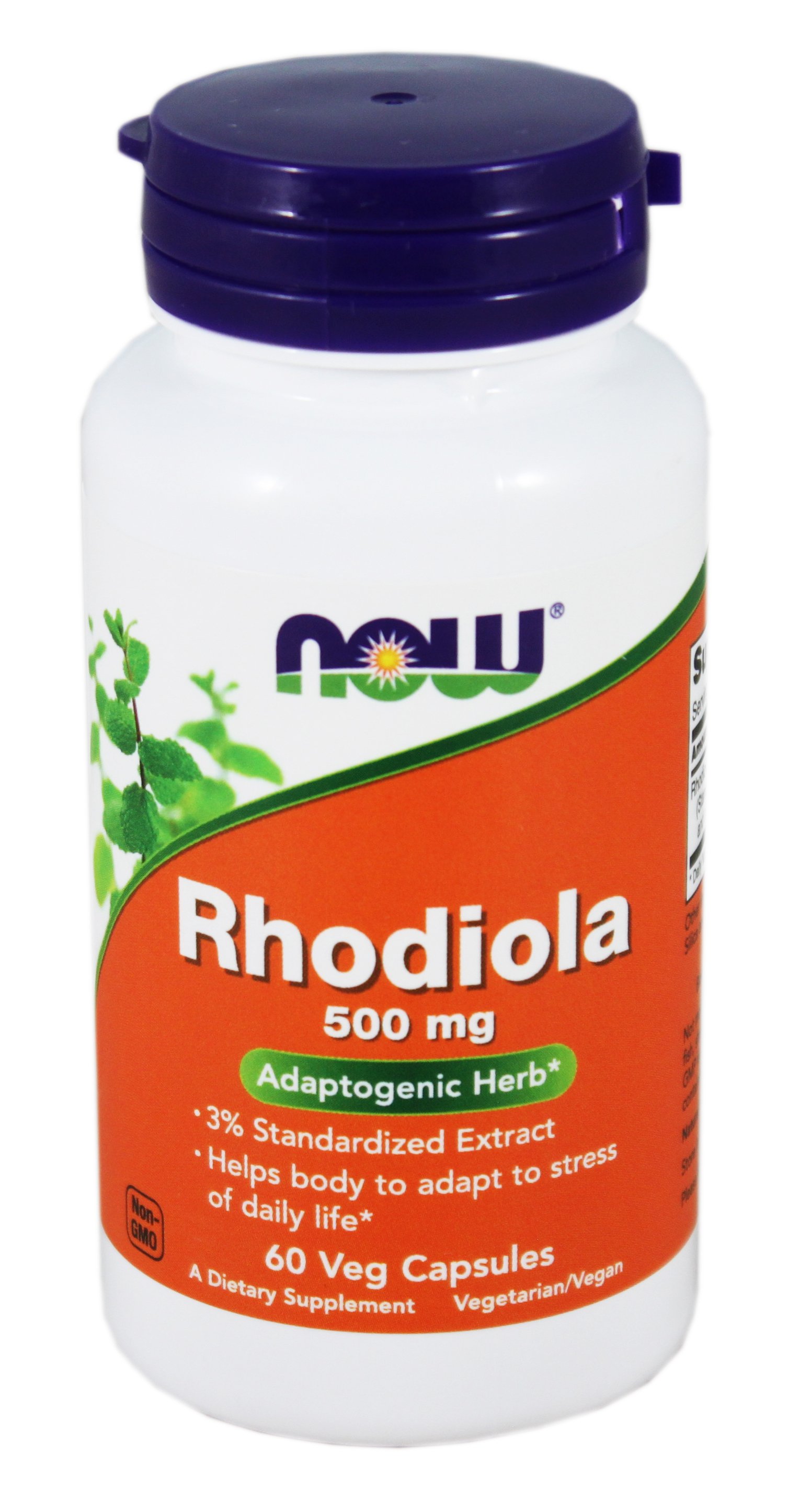 Now Rhodiola - Shop Herbs & homeopathy at H-E-B