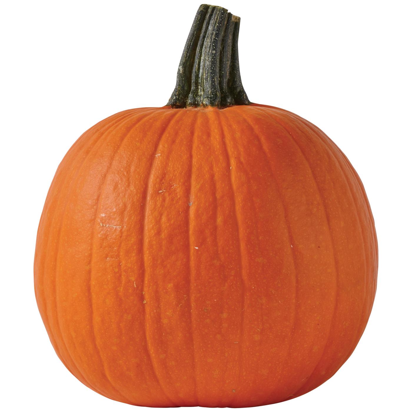 H-E-B Texas Roots Pie Pumpkin - Shop Squash & pumpkins at H-E-B