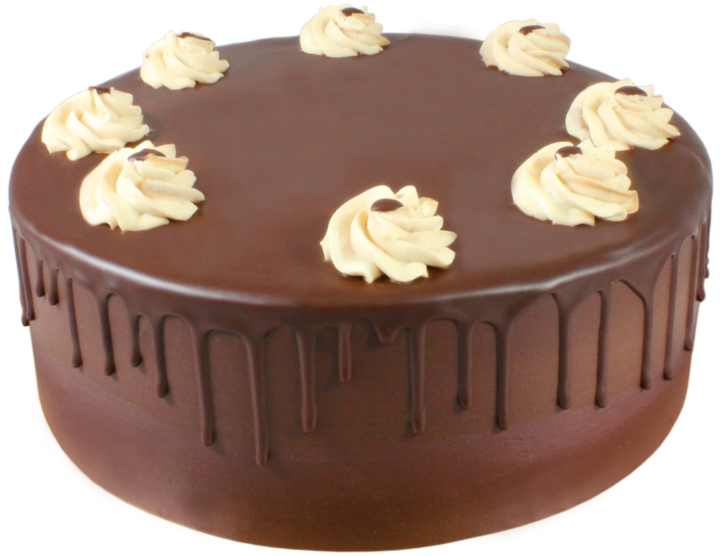 Central Market Chocolate Ganache Cake, 9 in - Shop Standard cakes at H-E-B