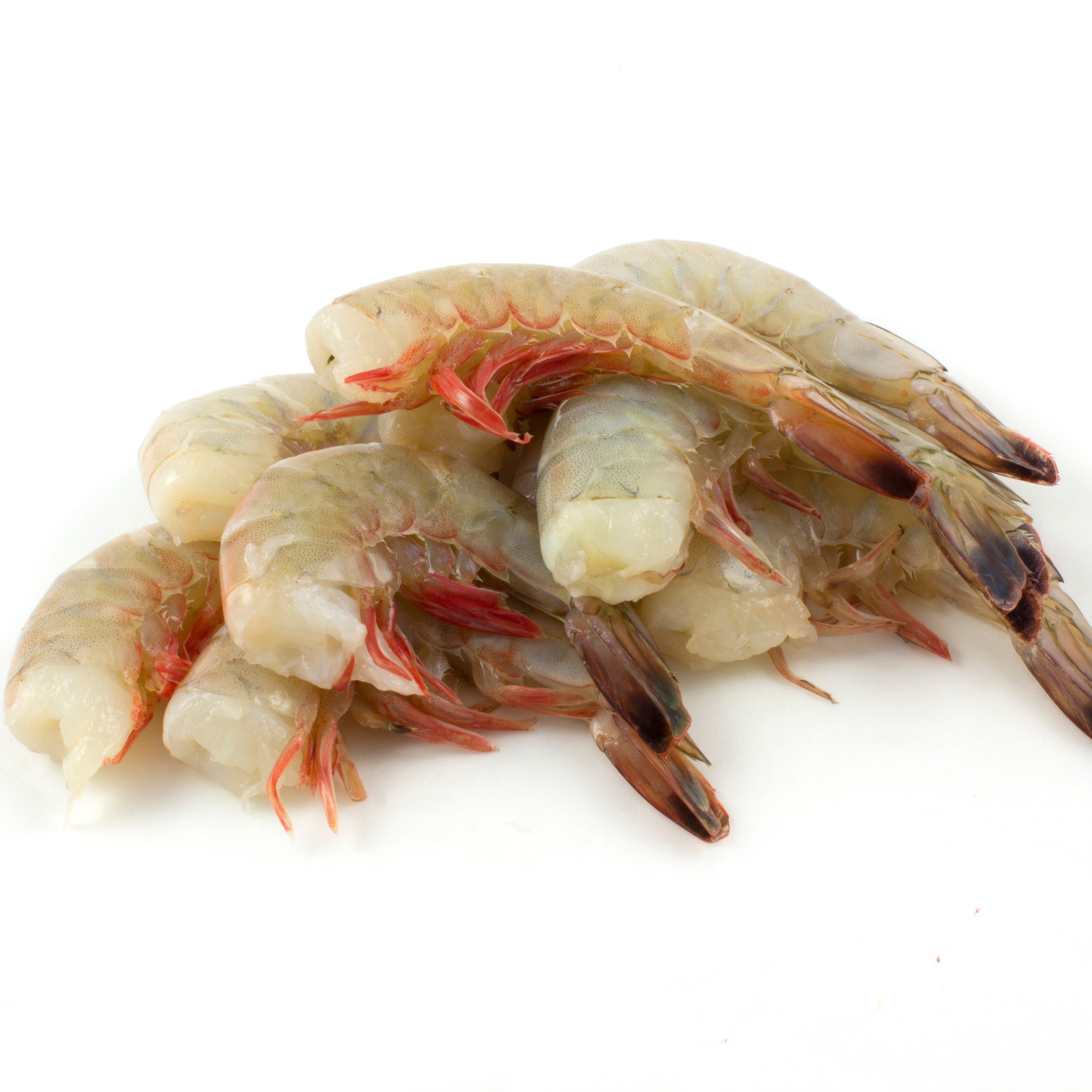 H E B Wild Caught Shell On Colossal Gulf White Raw Shrimp 10 15 Ct