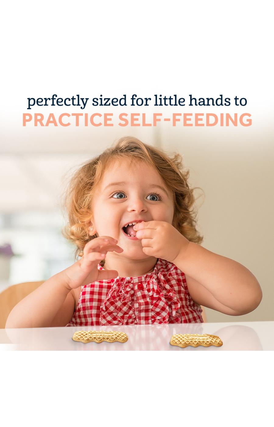 Gerber Snacks for Baby - Arrowroot Biscuits - Shop Toddler food at H-E-B
