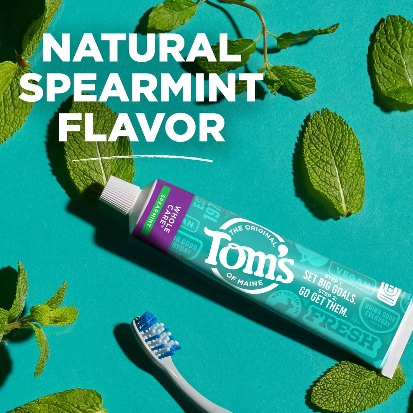 Tom's of Maine Whole Care Natural Fluoride Toothpaste - Spearmint ...