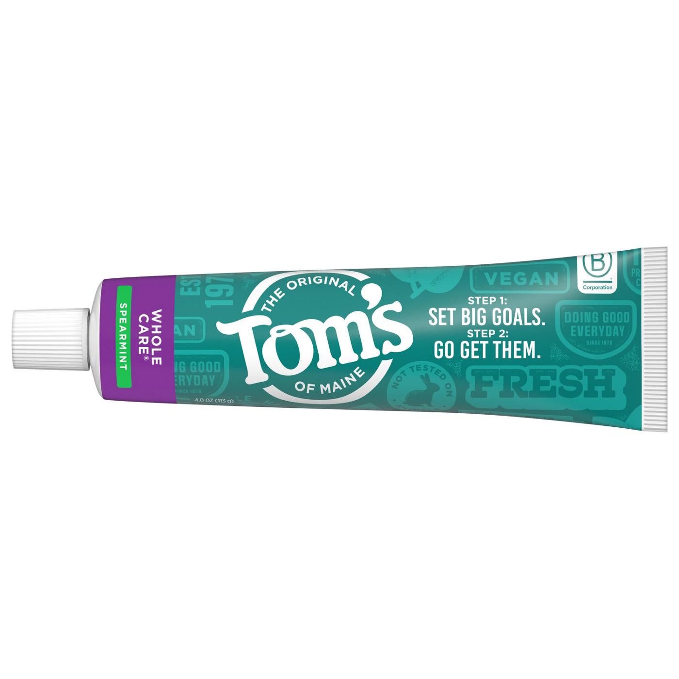 Tom's of Maine Whole Care Natural Fluoride Toothpaste - Spearmint ...