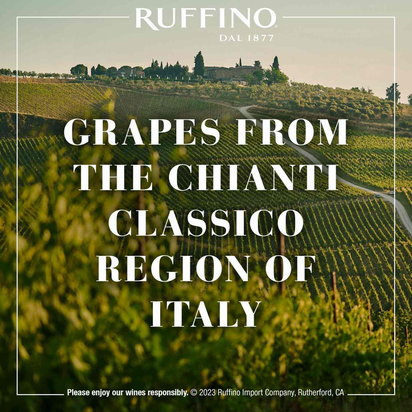 Ruffino Aziano Chianti Classico DOCG Sangiovese Red Blend, Italian Red ...