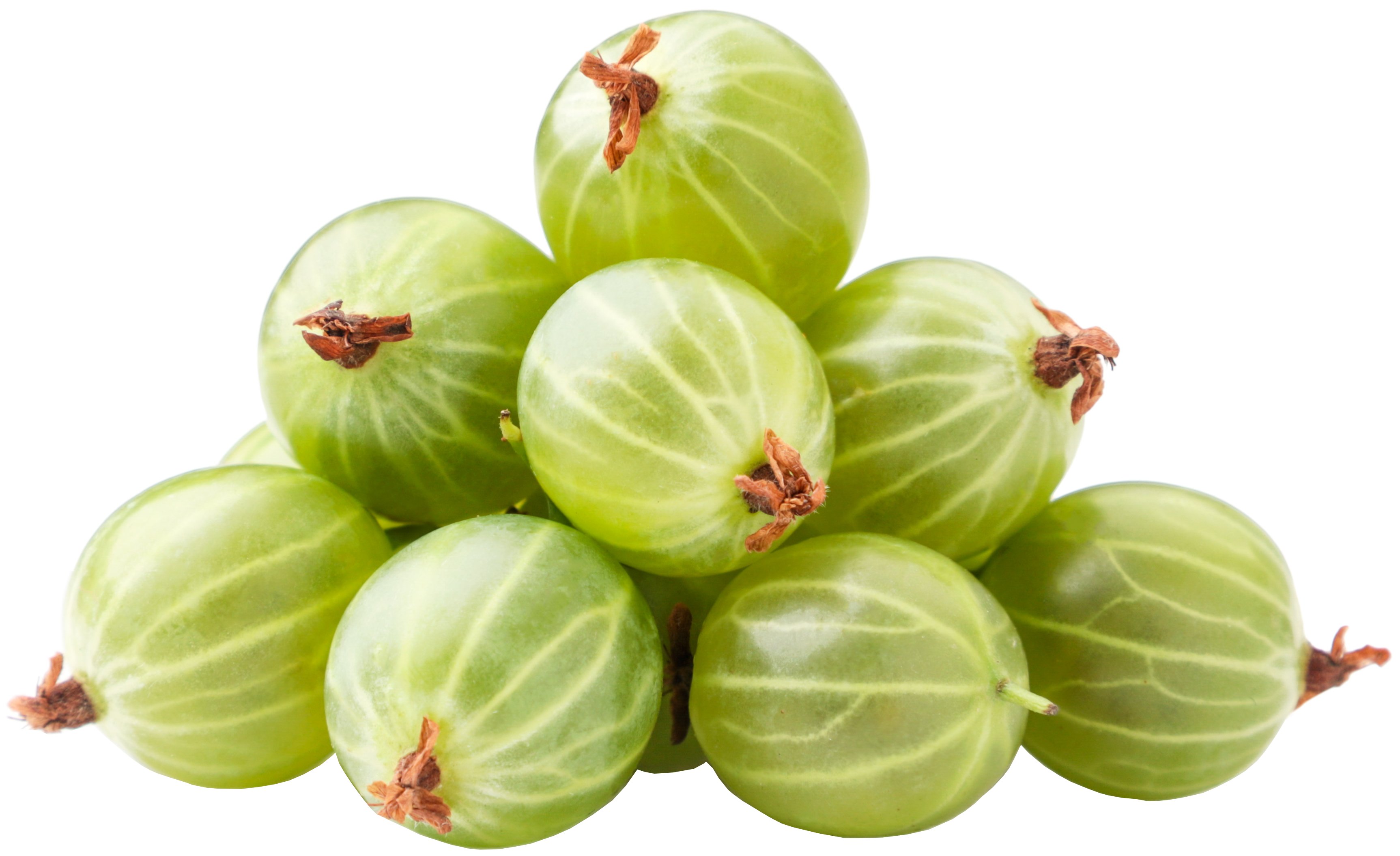 Organic Gooseberries - Shop Fruit at H-E-B