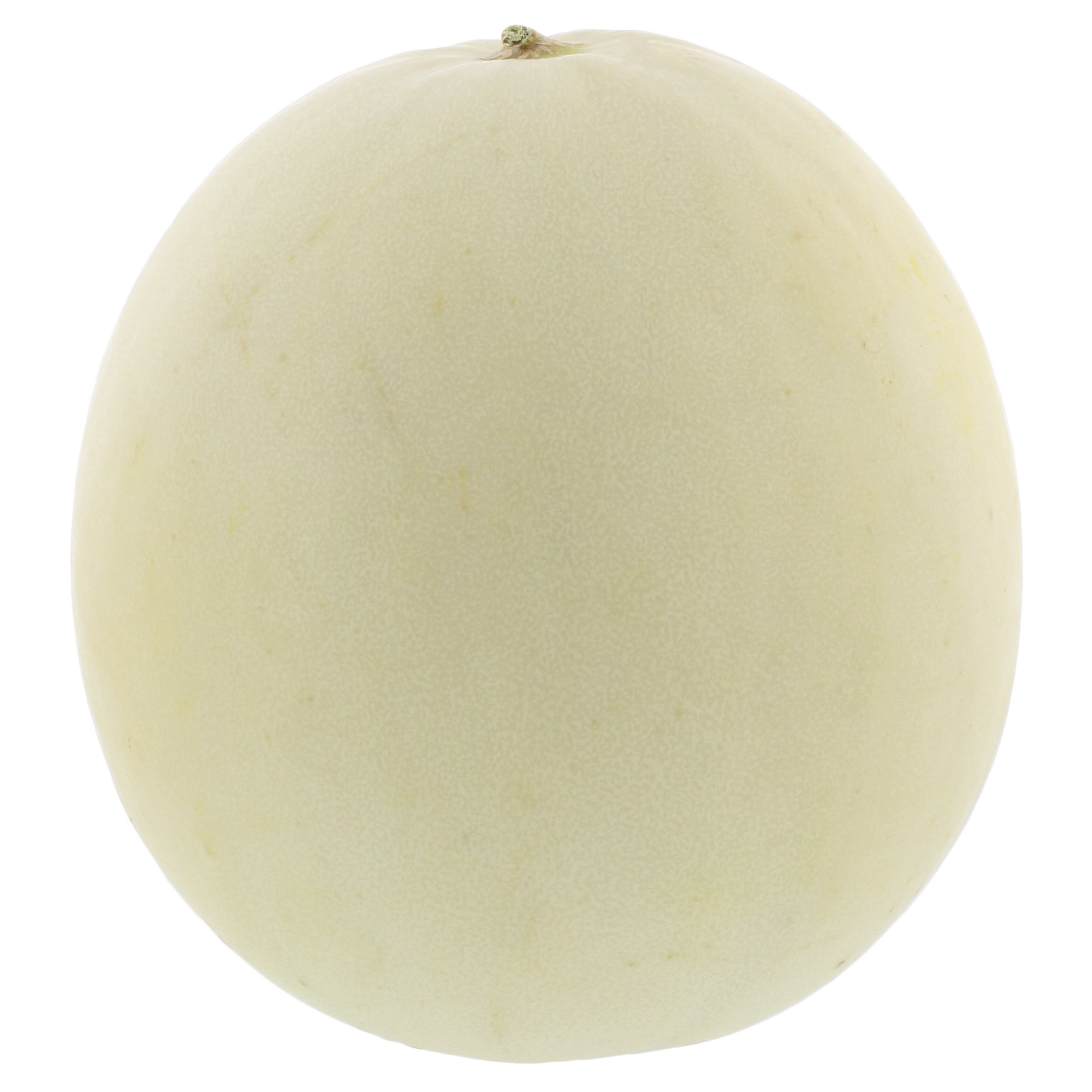 Fresh Organic Honeydew Melon - Shop Melons at H-E-B