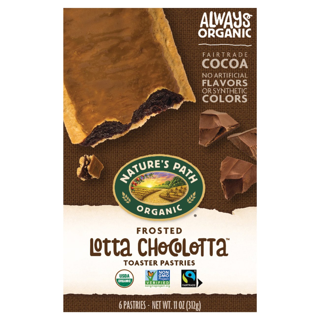 Nature's Path Organic Frosted Lotta Chocolotta Toaster Pastries - Shop ...