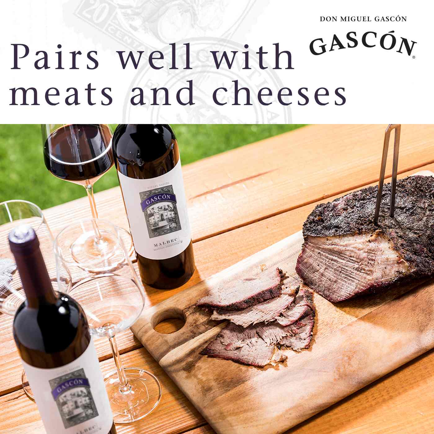 Don Miguel Gascon Argentina Malbec Red Wine - Shop Wine at H-E-B