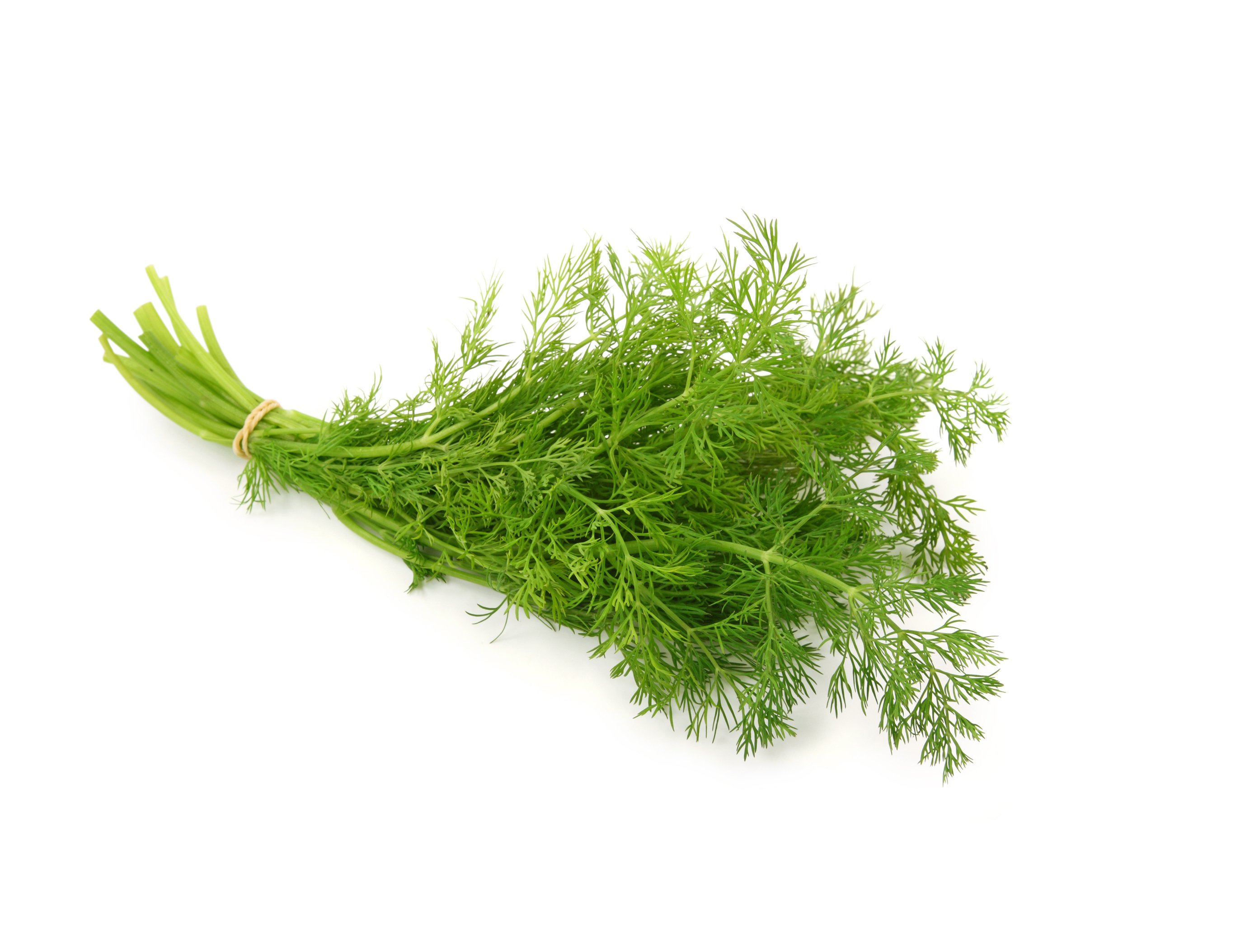 Fresh Organic Dill - Shop Herbs at H-E-B