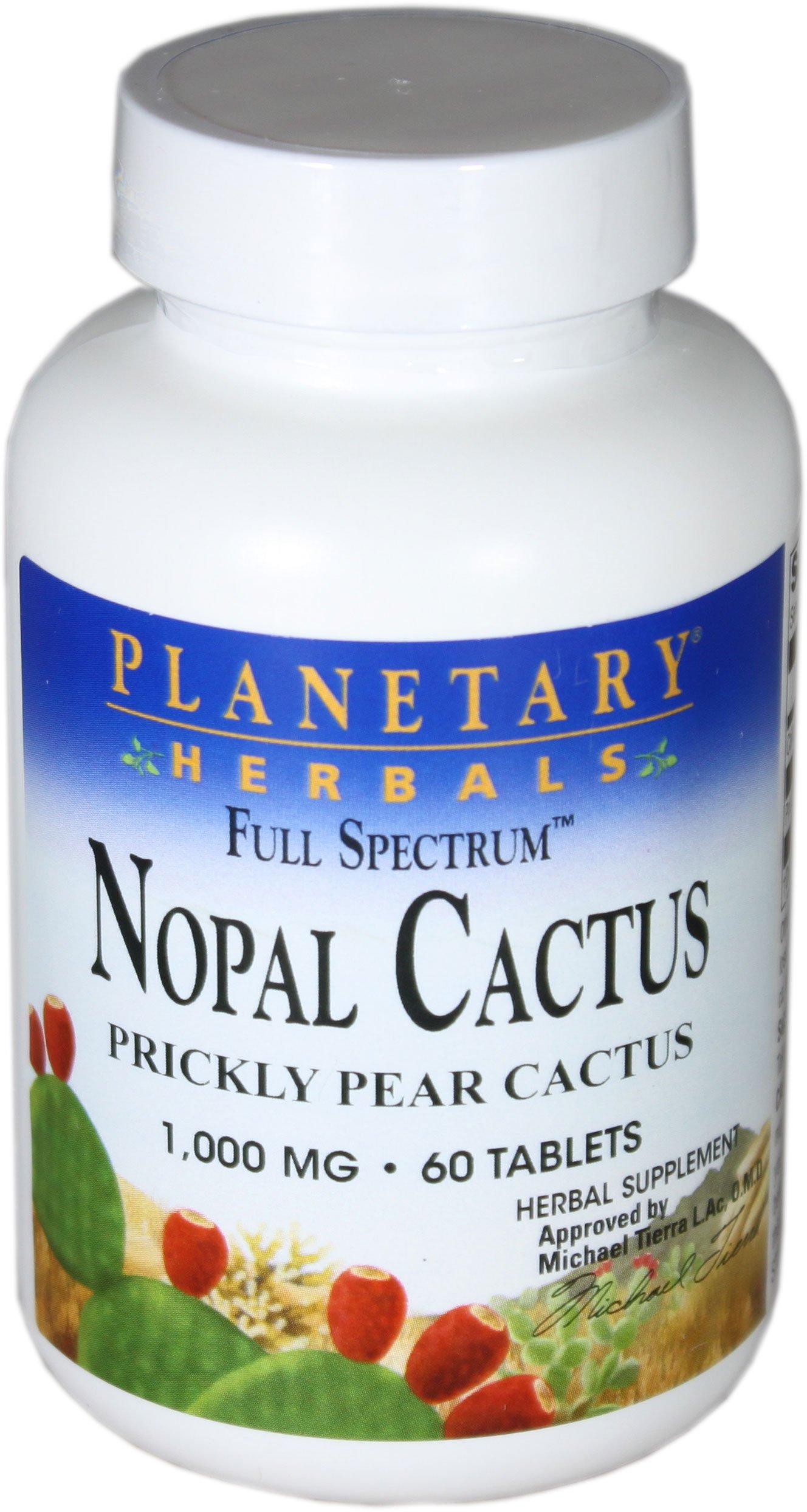 Planetary Herbals Nopal Cactus 1000Mg Tablets - Shop Vitamins ...
