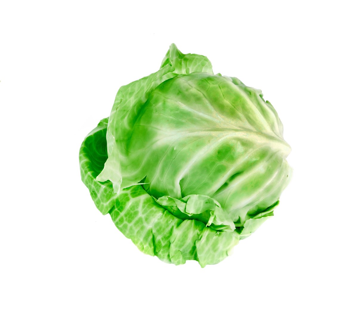 Fresh Baby Green Cabbage - Shop Vegetables at H-E-B