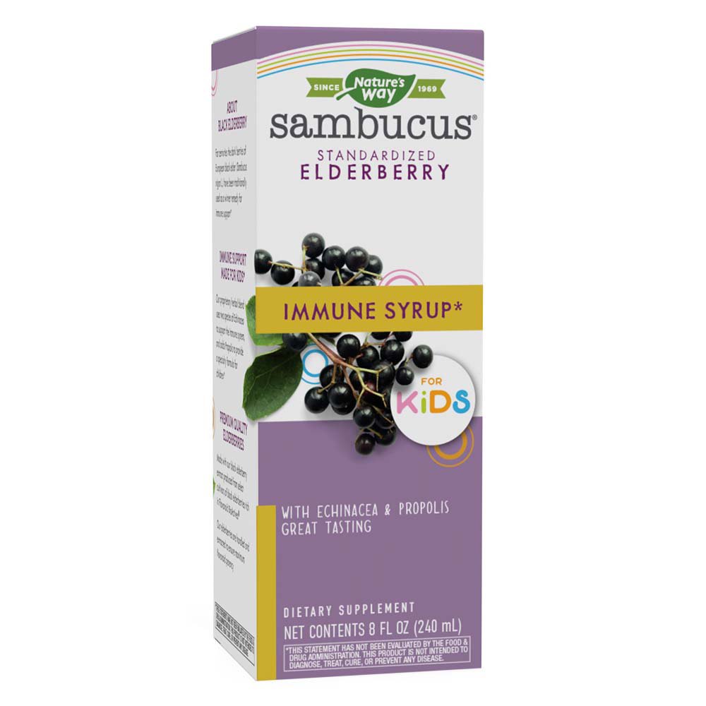 Nature's Way Sambucus Immune Syrup for Kids - Shop Vitamins ...