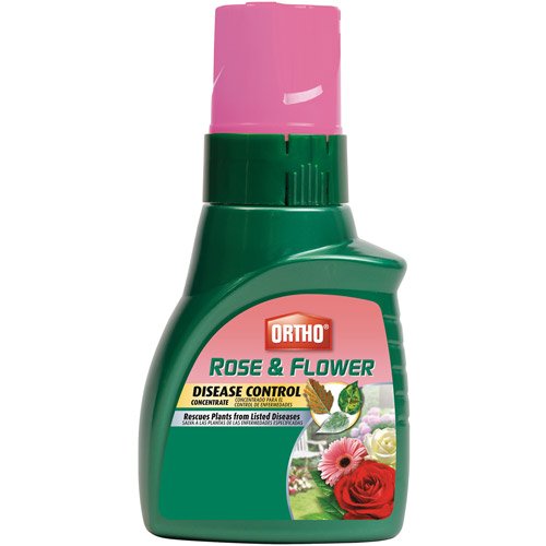 Ortho Rosepride Rose & Flower Disease & Mite Control Aerosol - Shop ...