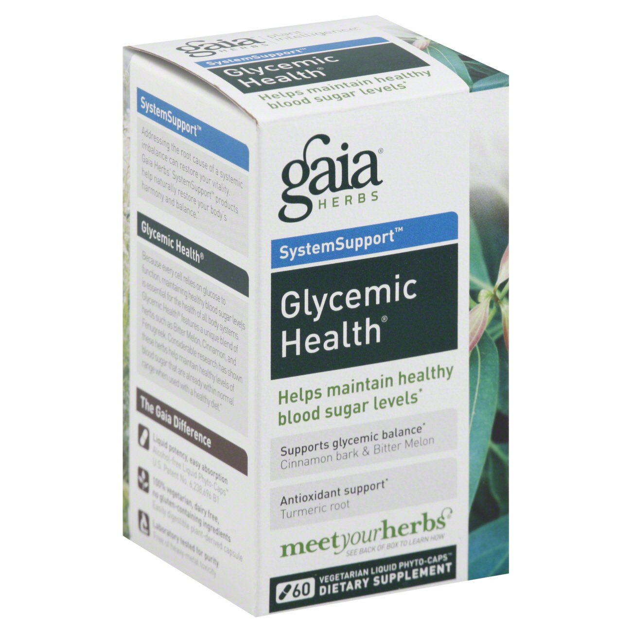 Gaia Herbs SystemSupport Glycemic Health Vegetarian Liquid Phyto-Caps ...